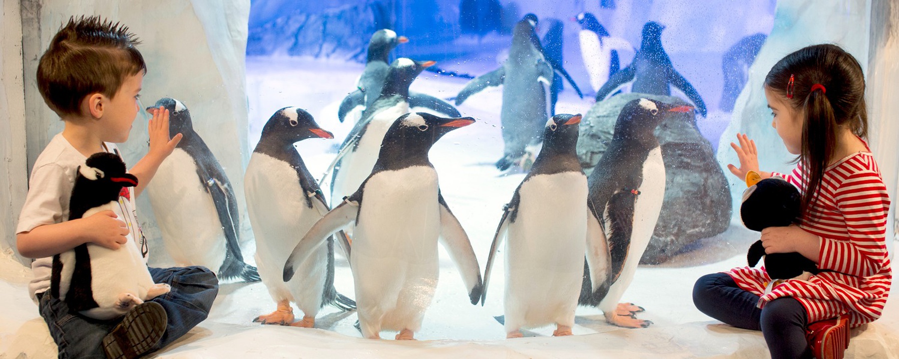 Tickets: Sea Life Birmingham & Cadbury World | Sea Life Birmingham Sat ...