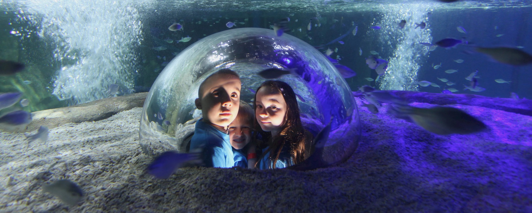 Sea Life Centre Blackpool + Virtual Reality Experience | Sea Life ...