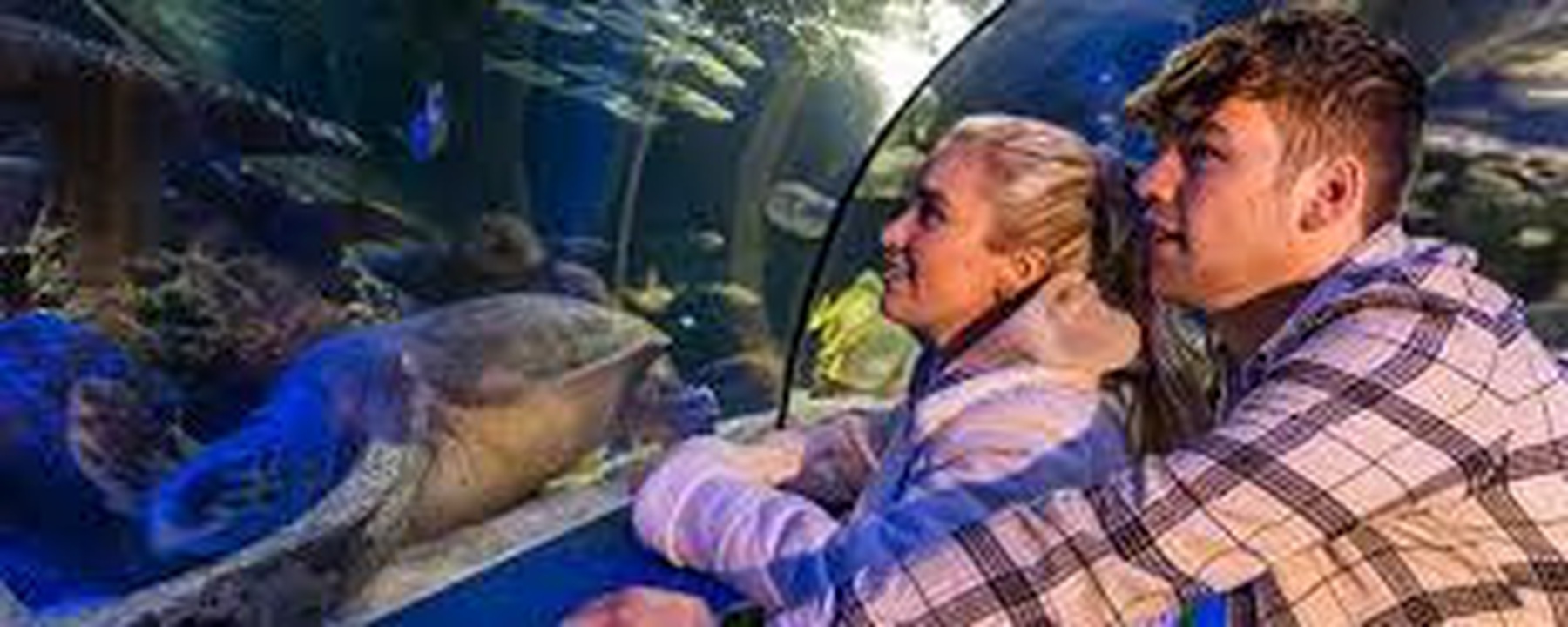 Tickets: Sea Life Scarborough Standard Admission | Sealife Center ...