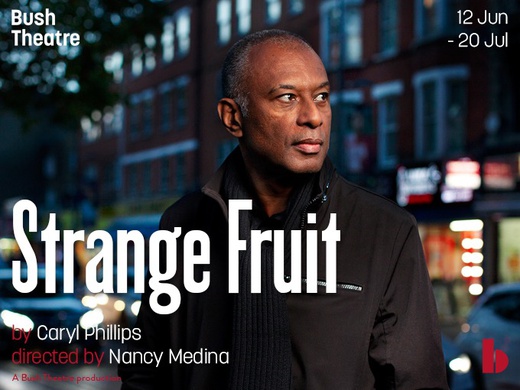 strange-fruit-tickets-london-ticketmaster-theatre