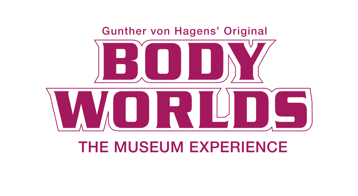 Body Worlds Logo 1.462 Body Worlds Exhibition By Gunther Von Hagens